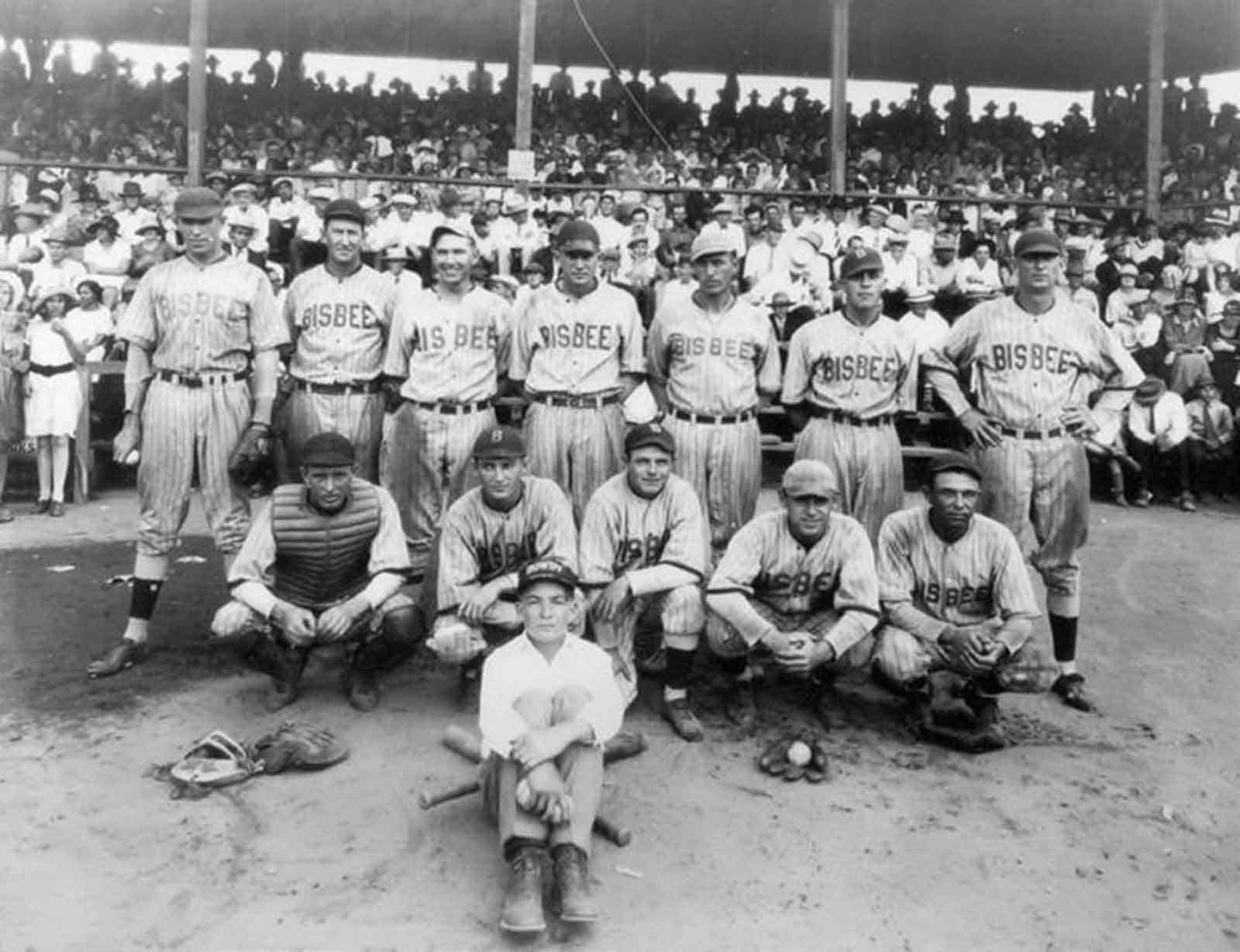 Teams - Friends of Warren Ball Park