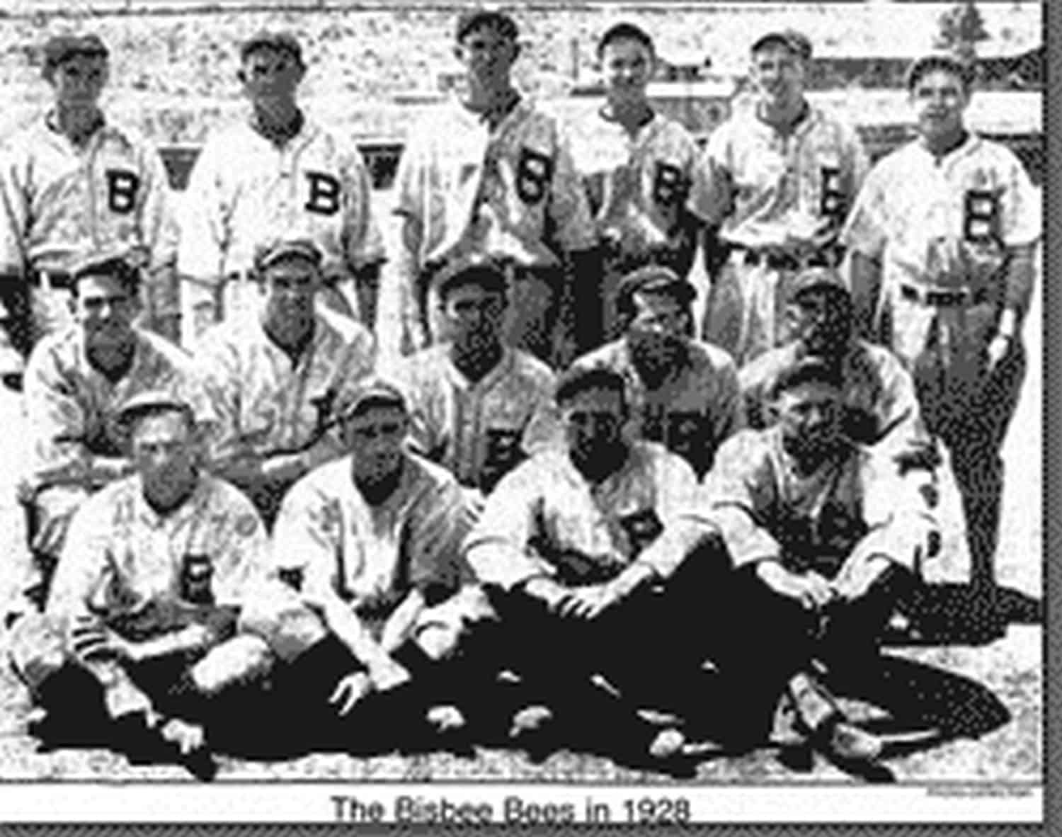 Teams - Friends of Warren Ball Park