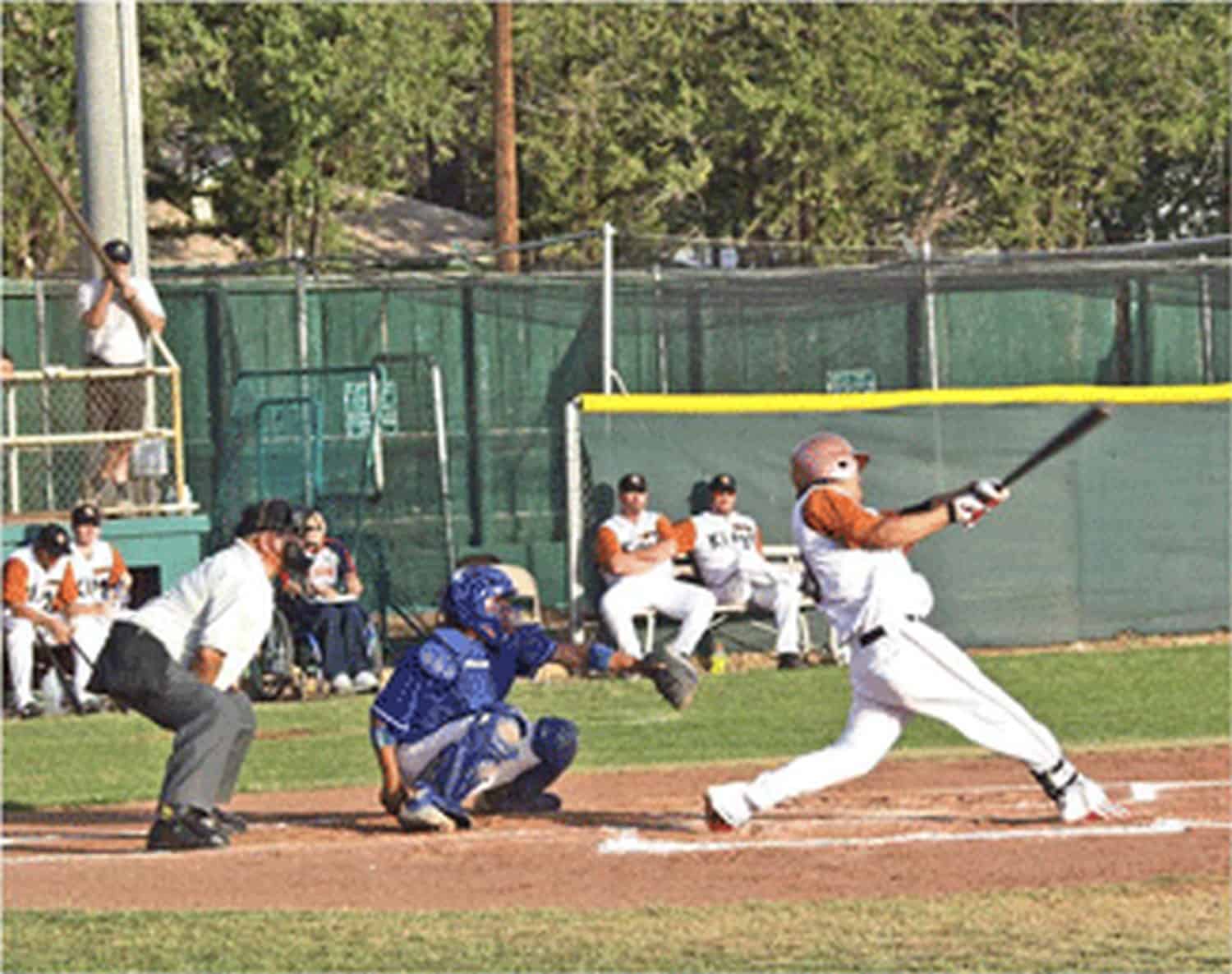 Modern Times - Friends of Warren Ball Park