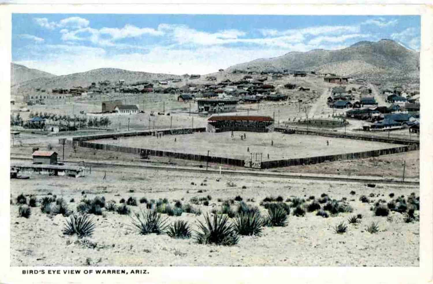 The Beginning - Friends of Warren Ball Park