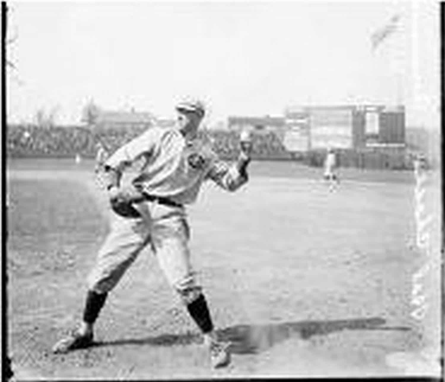 Teams - Friends of Warren Ball Park